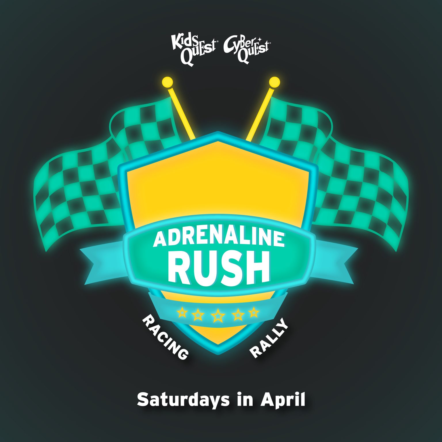 Adrenaline Rush Racing Rally at Kids Quest and Cyber Quest - Kids Quest
